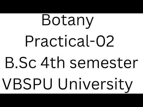 Botany practical record file BSc 4 semester VBSPU University - YouTube