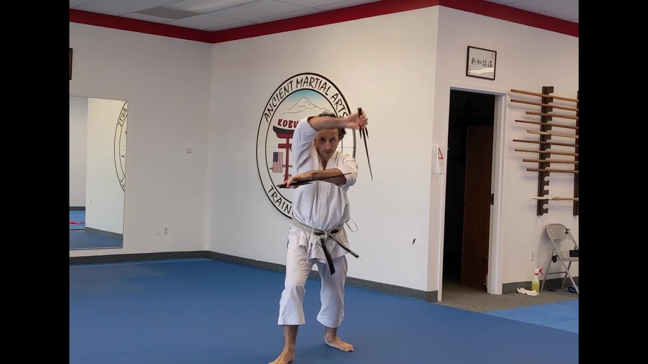 Saijutsu Movement Study - YouTube