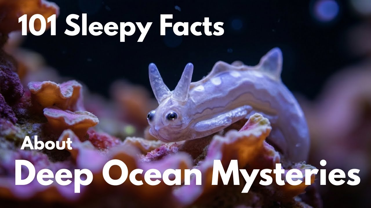 Dreamy Science: Exploring the Calm Wonders of Deep Ocean Mysteries ...
