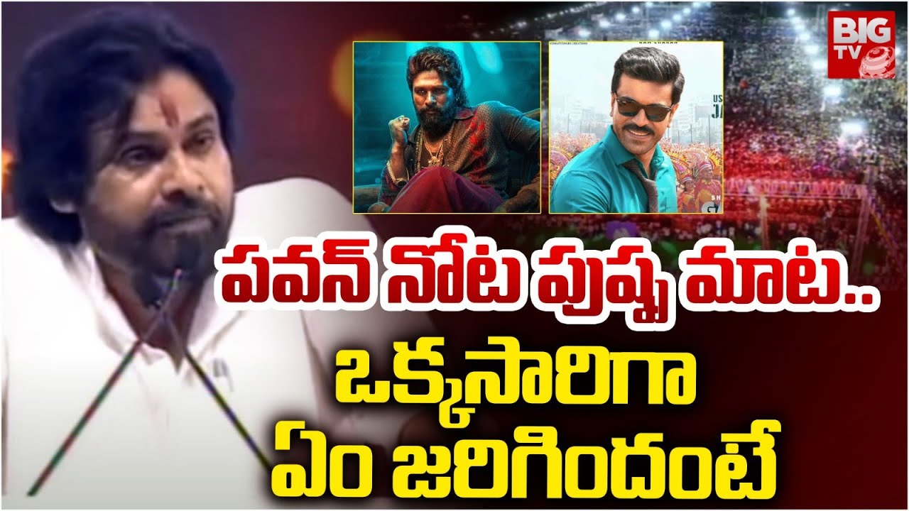 పవన్ నోట పుష్ప మాట..ఒక్కసారిగా.. | Pawan Kalyan About Tollywood Heroes ...