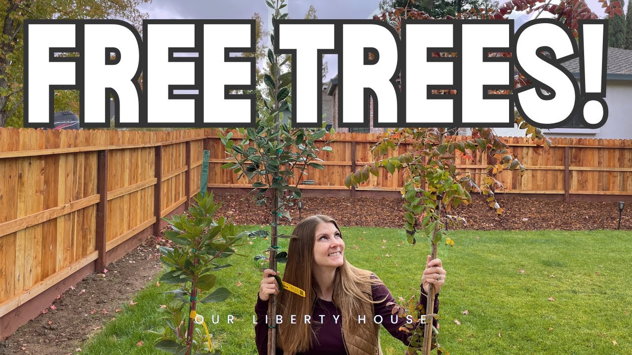 How to Dig Deep & Plant Trees in Hard Pan Clay Soil - YouTube