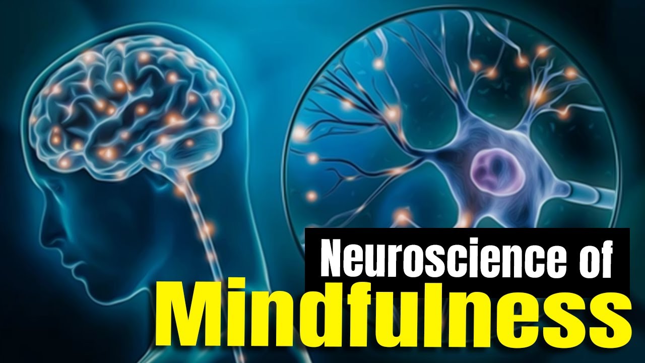 Neuroscience of Mindfulness #reprogramyoursubconsciousmind # ...