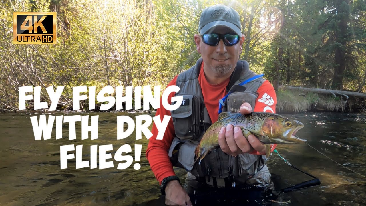 Fly Fishing For Wild Trout On A STUNNING Mountain Stream With Dry Flies ...