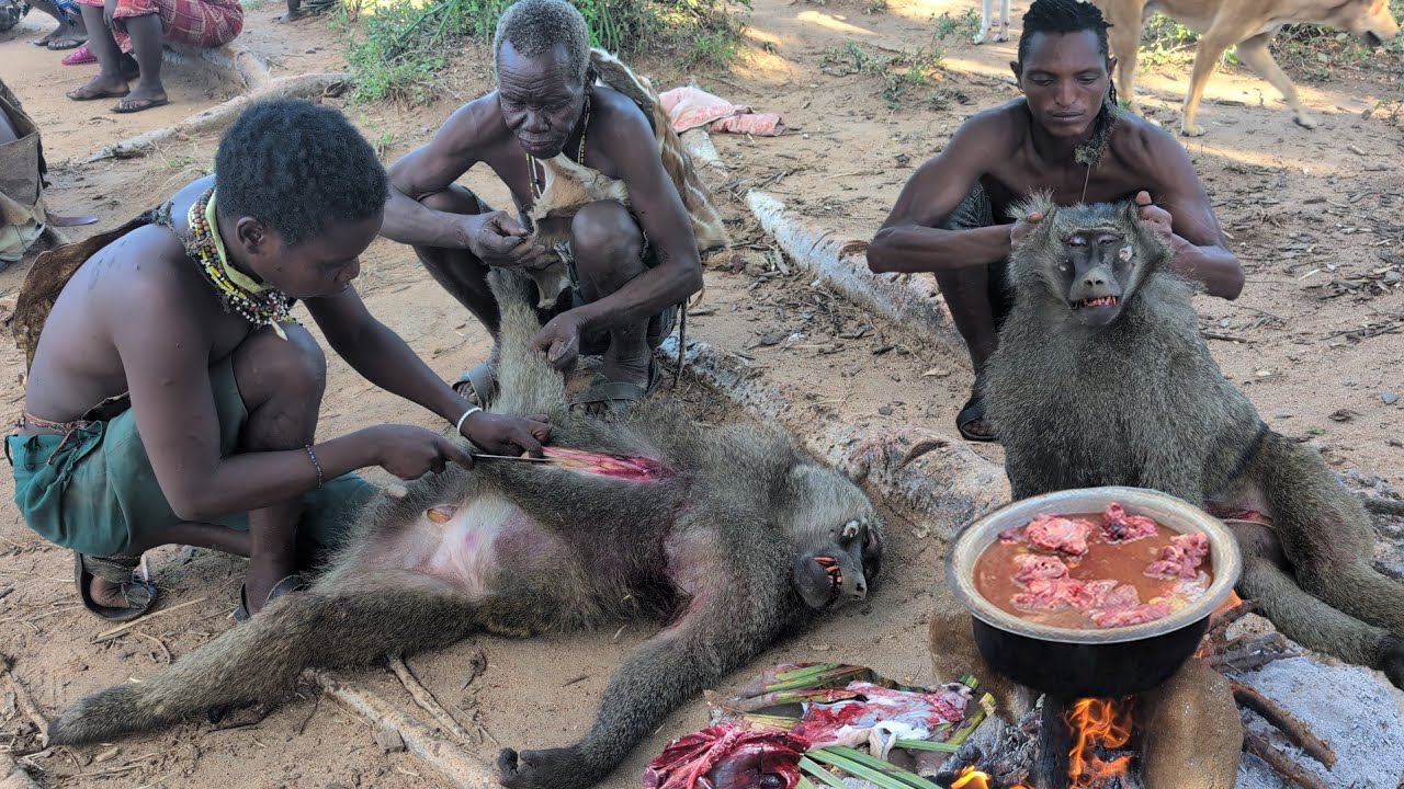 Discover Wild Baboon Monkey Eating, With Hadzabe tribe hunters Very ...