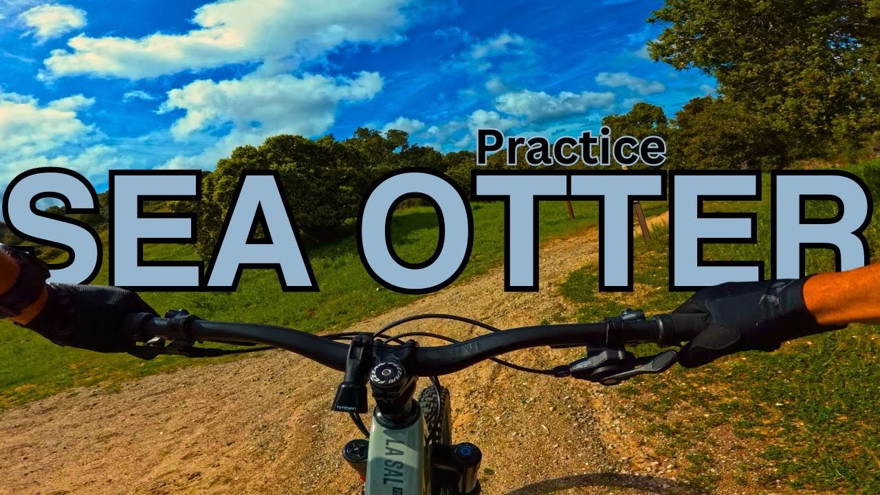 Sea Otter Practice - YouTube