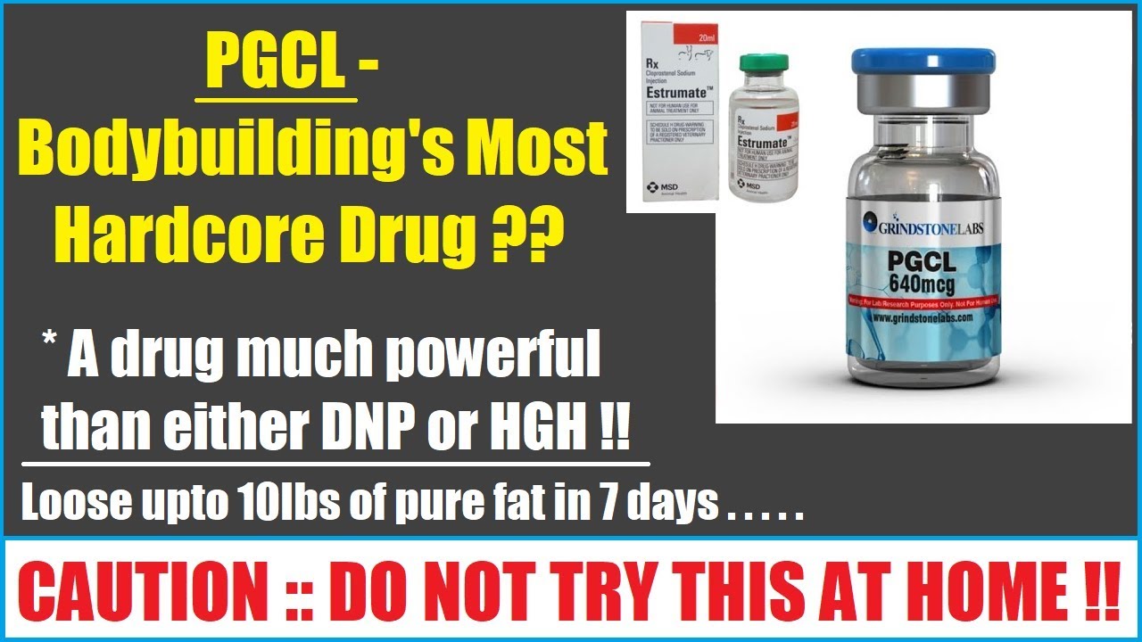 💉PGCL (Cloprostenol Sodium) = HGH+DNP l Most 'Powerful & Dirty ...