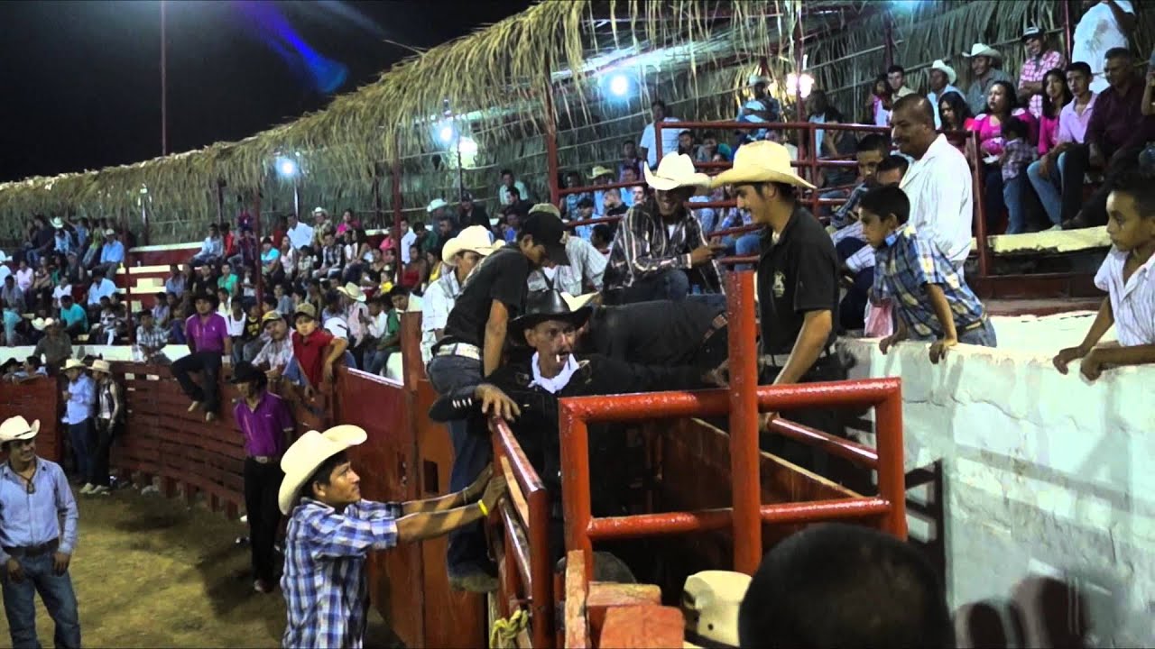 Caporal vs Pato - Feria Taurina Cuautitlan 2014 - YouTube