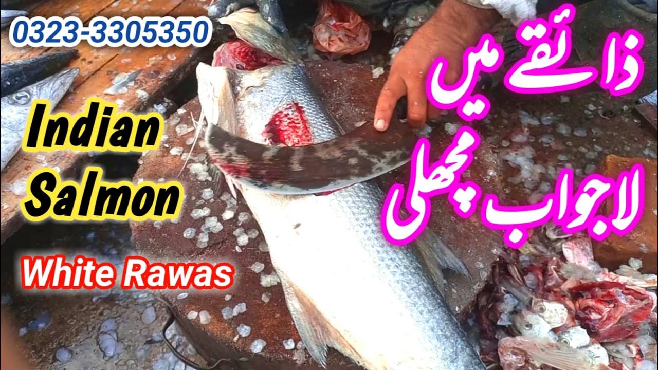 Fish Video| White Rawas fish update| Karachi Fishery Market| On 14/11 ...