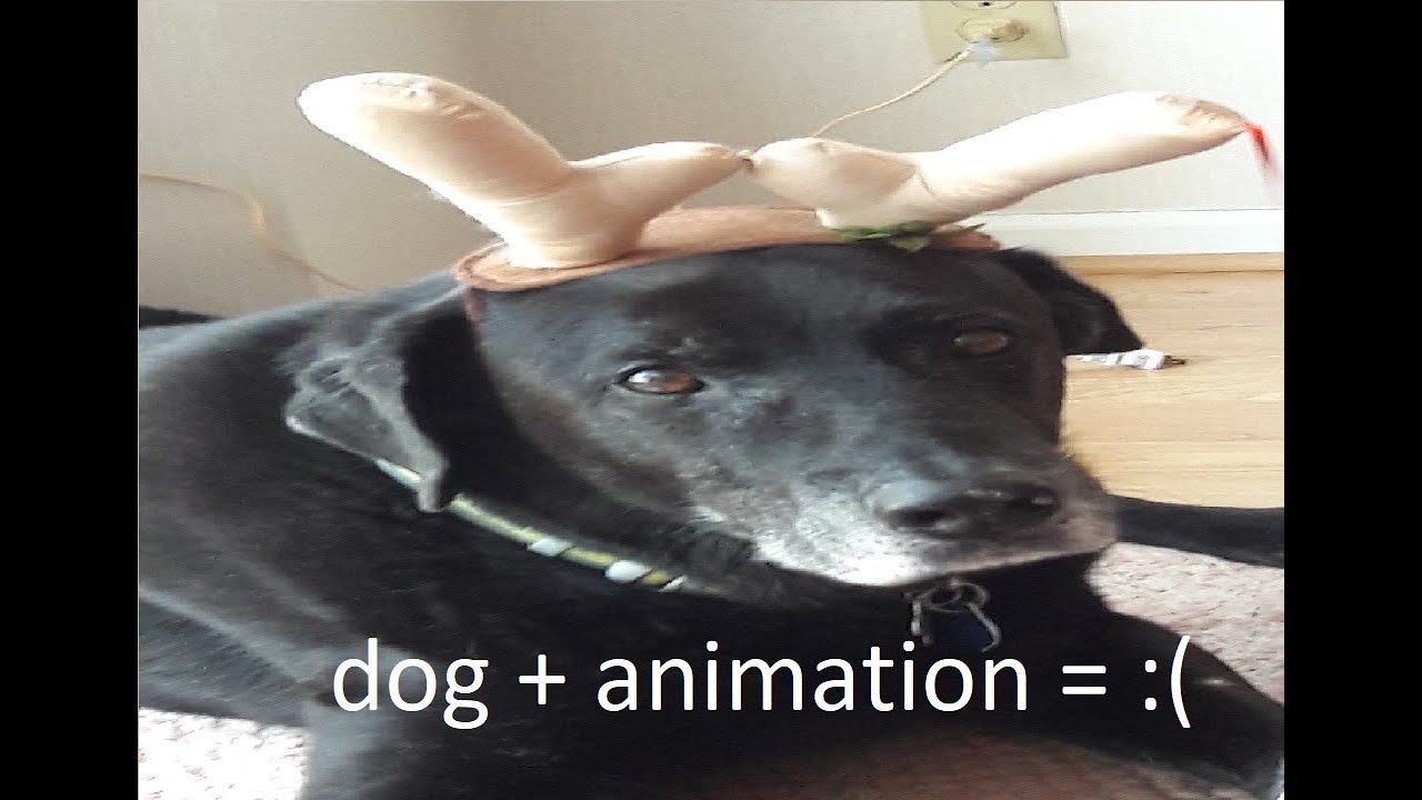 Lof: dog + animation = :( - YouTube