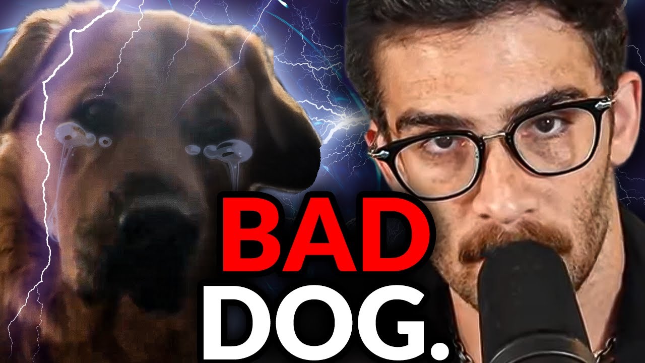 The Hasan Piker Shock Collar Scandal Explained - YouTube