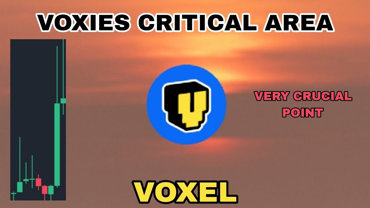 VOXEL COIN CRITICAL AREA IN AUGUST 2024‼️ VERY CRUCIAL POINT FOR VOXIES ...