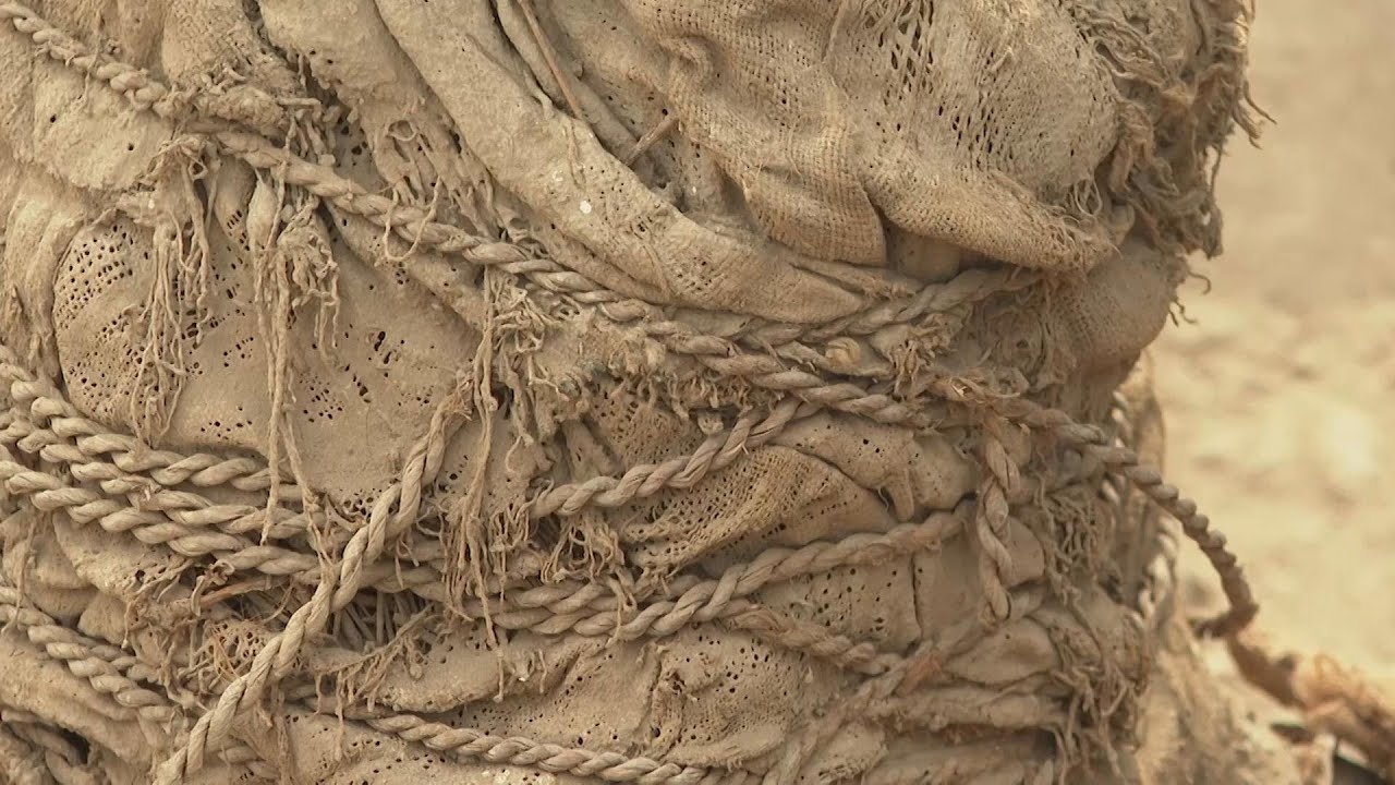 Several pre-Inca mummies found near soccer field of popular Peruvian ...