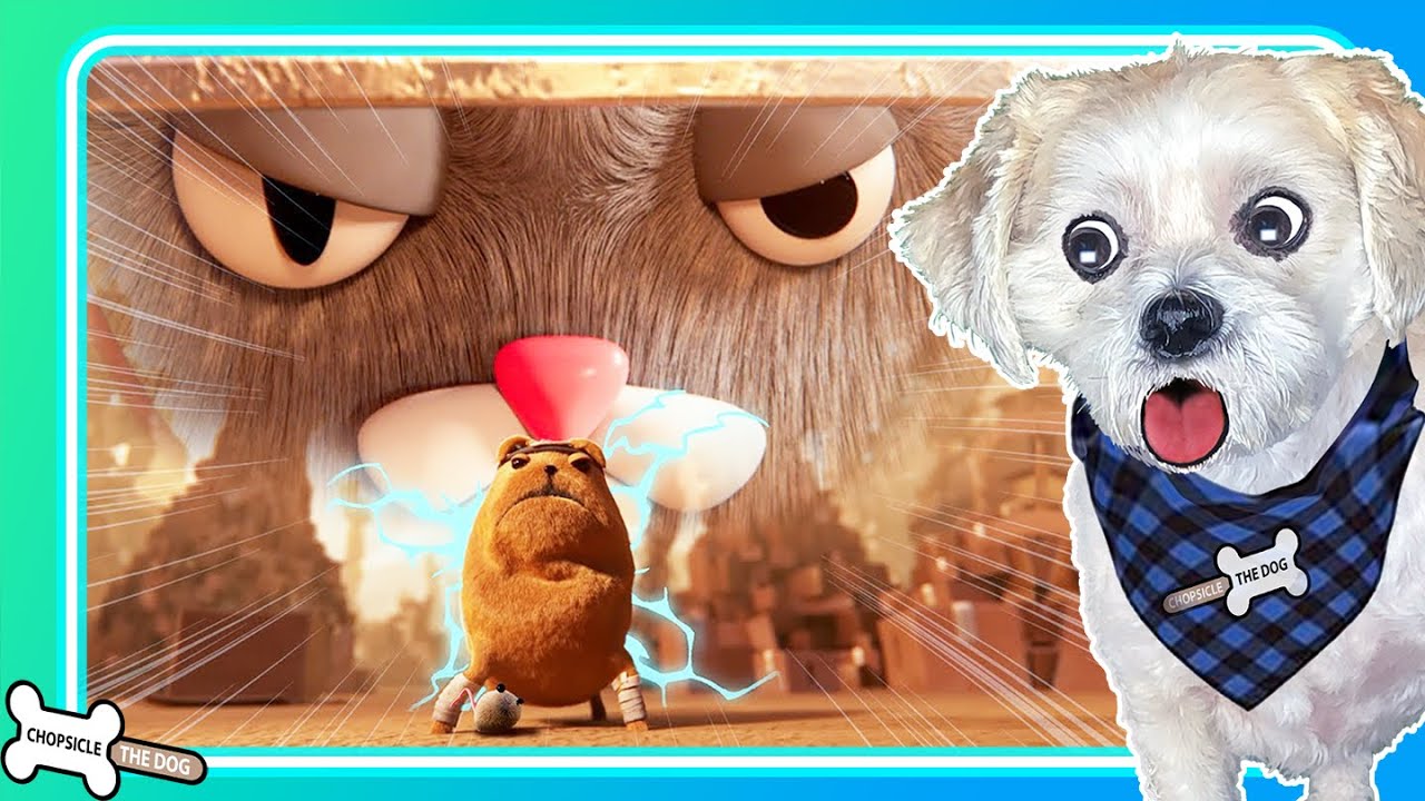 Animania by Noodle and Bun! Funny CG Reaction Video by Chopsicle The ...