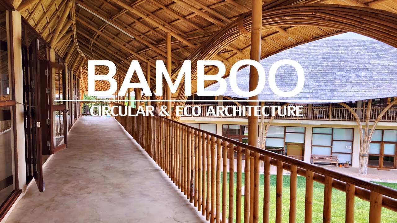 Bamboo - The ideal material for circular and eco architecture - YouTube