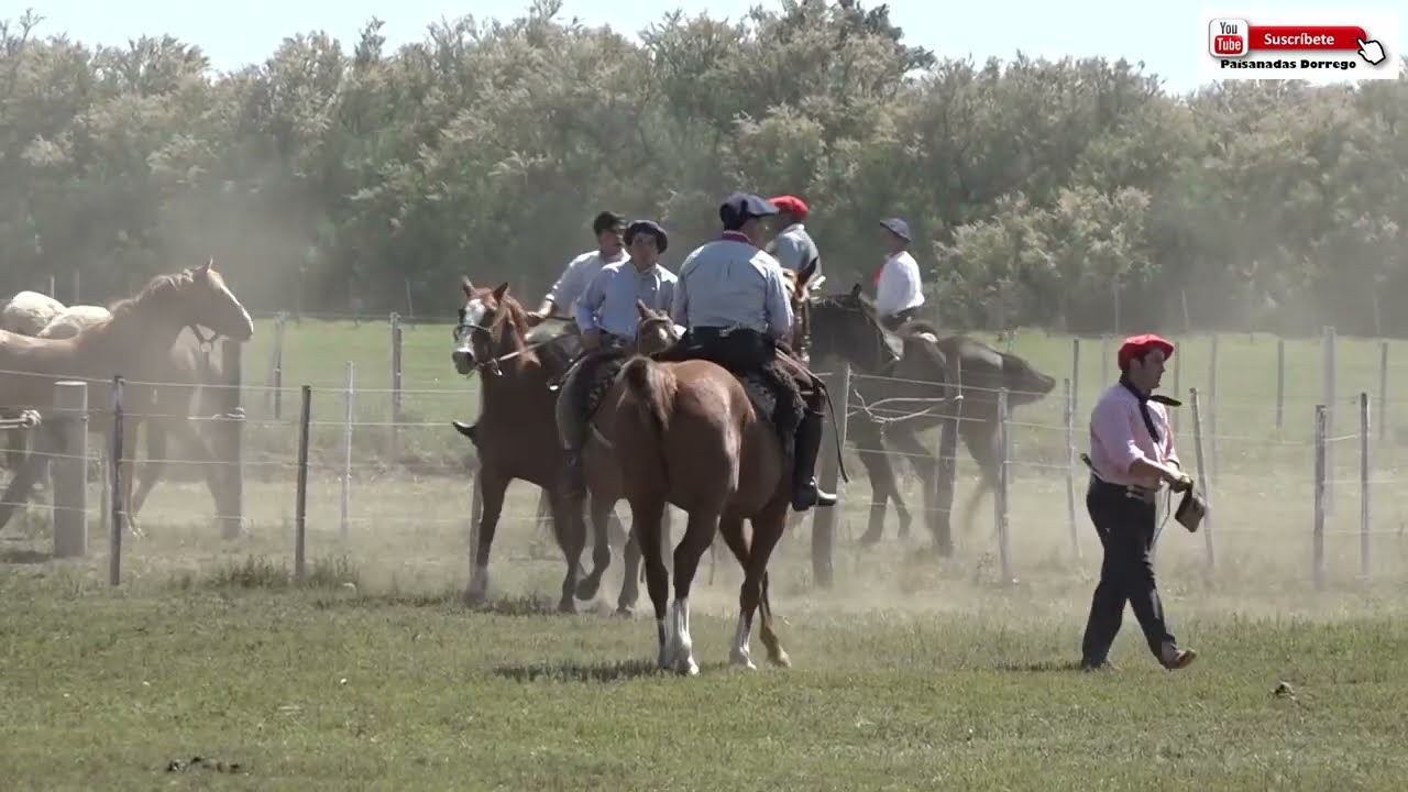 CARRERA DE POTRO - YouTube