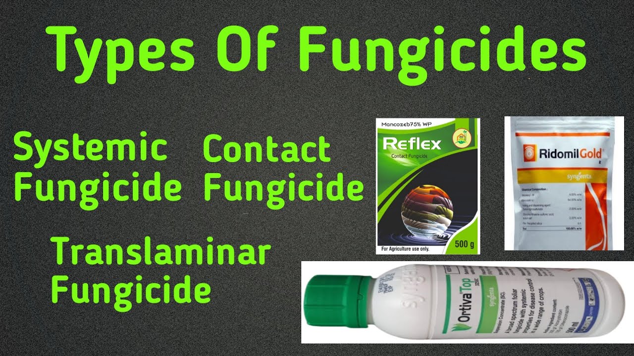 Type Of Fugicides/Translaminar Fungicide/Systemic Fungicide/Contact ...