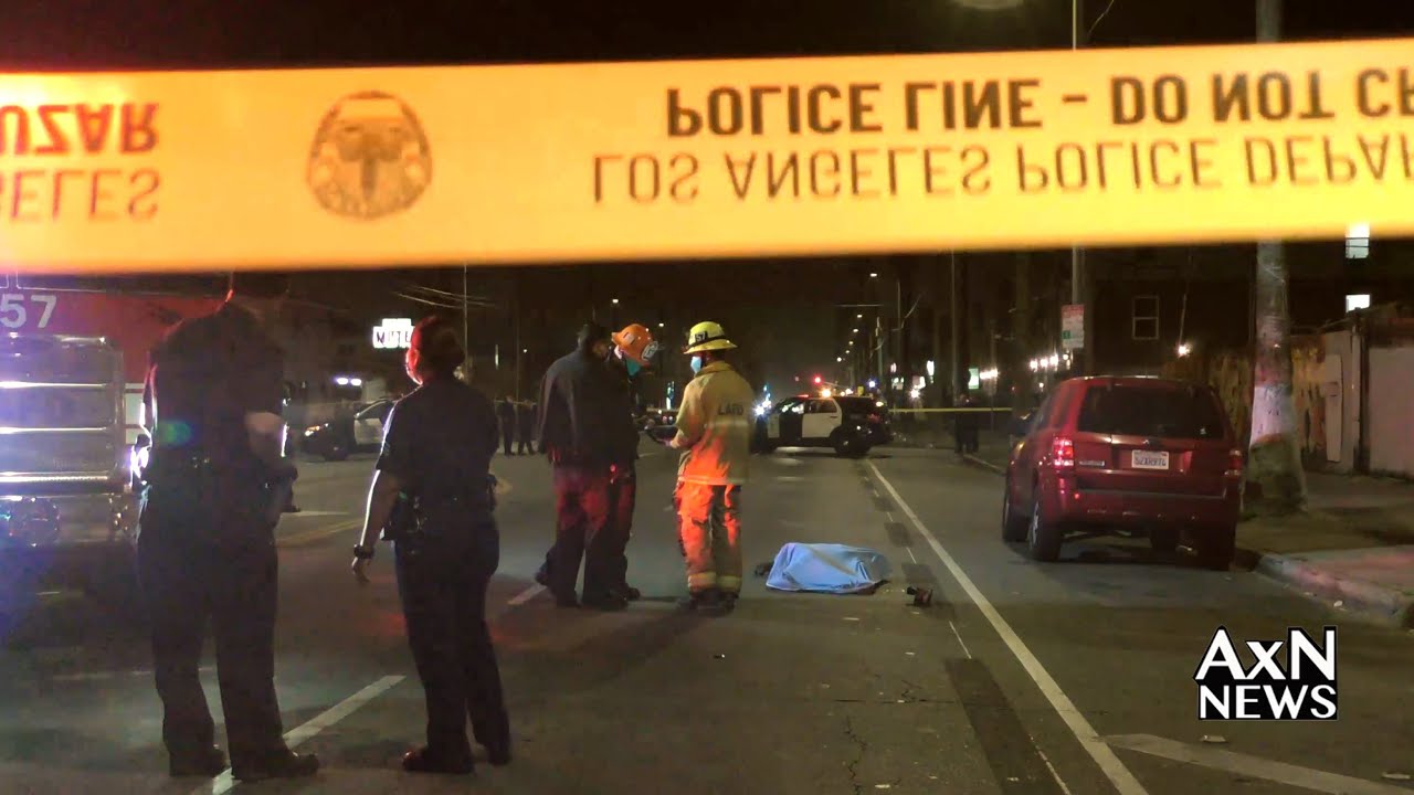 AXN NEWS - ACTION NEWS - YouTube