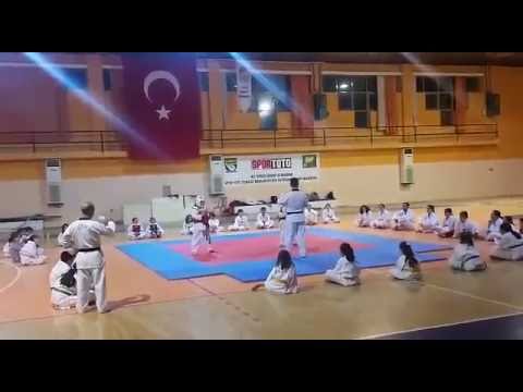 Teakwando da iki kuzen kozlarını paylaşıyor