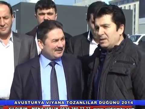 YILDIRIM - AVUSTURYA VİYANADA TOZNLILAR DÜĞÜNÜNDE