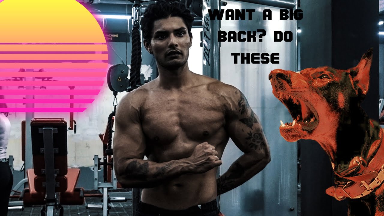 TURTLE BACK AND A MONSTER PUMP (WORKOUT VLOG !) - YouTube