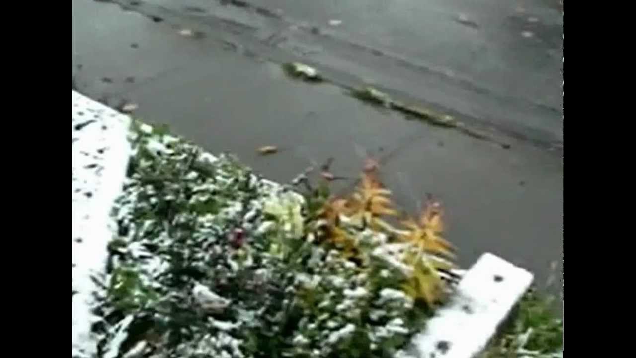 WAAAYYYYY Early First Snow 2012 Anchorage Alaska - YouTube