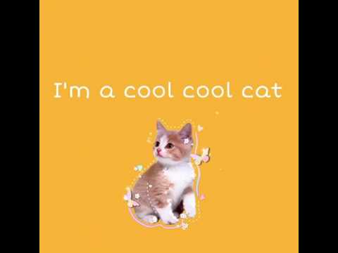 UNIT 7 GET DRESSED: COOL COOL CATS SONG SUPERMINDS CD3 O6 - YouTube