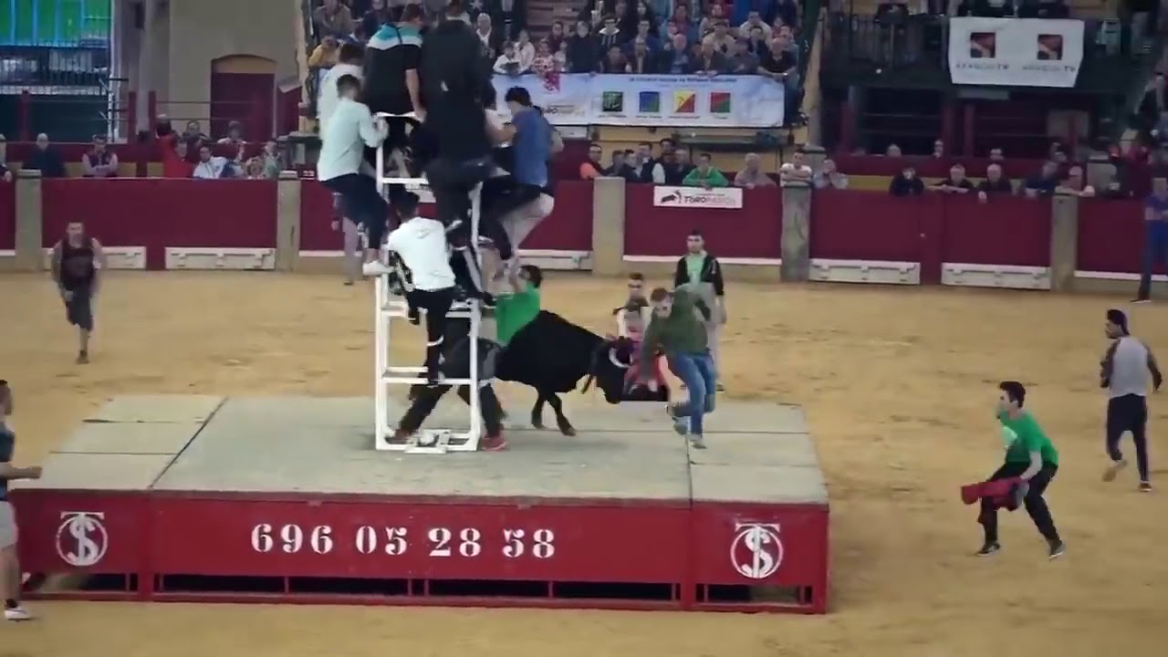 Bull vs men - YouTube