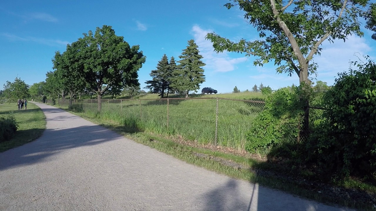 Weekly Back Cove 5k Series - YouTube