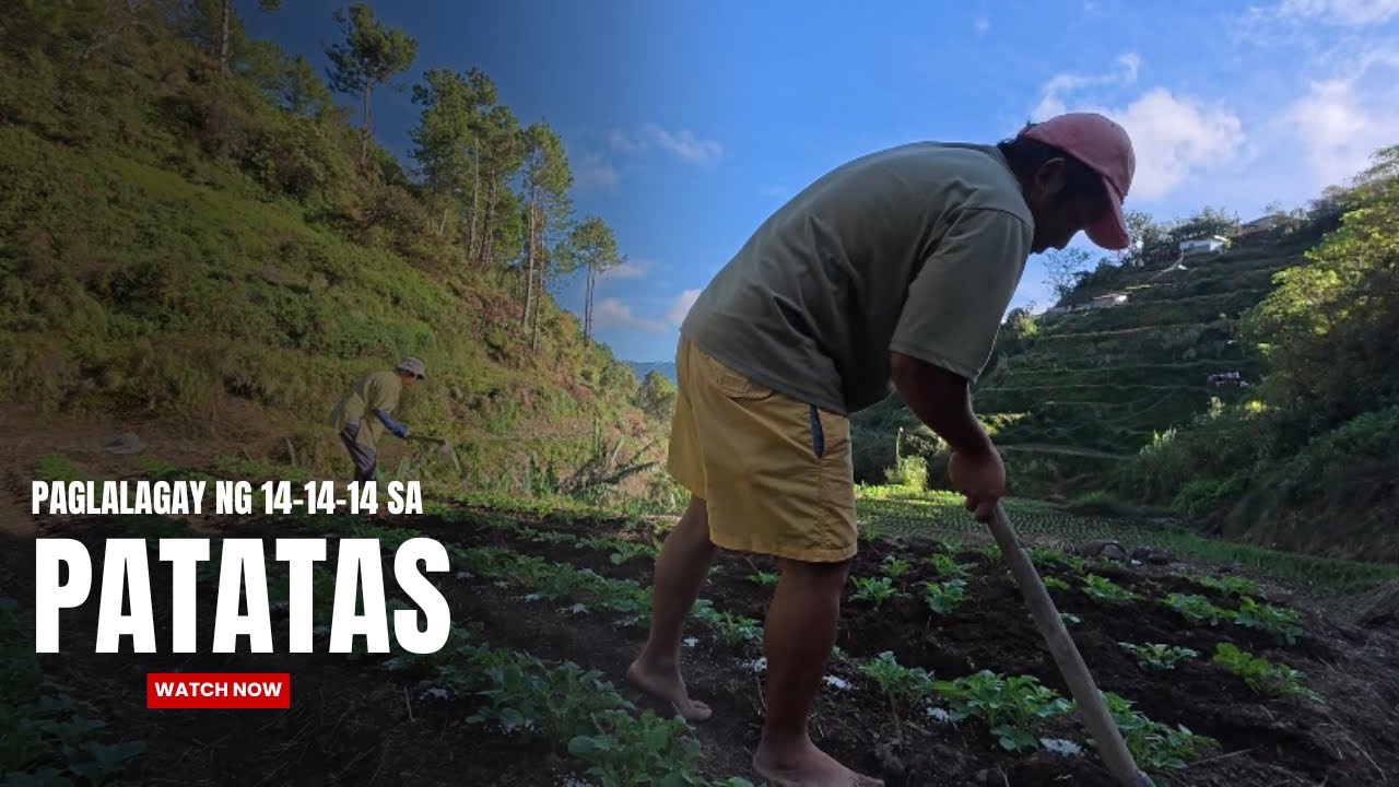 PARA MAS MARAMI ANG ANI - YouTube