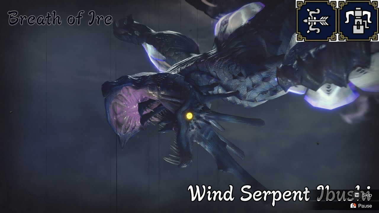 MHRise: Sunbreak | Ibushi 3:52 - 2P - Bow + Heavy Bowgun - YouTube