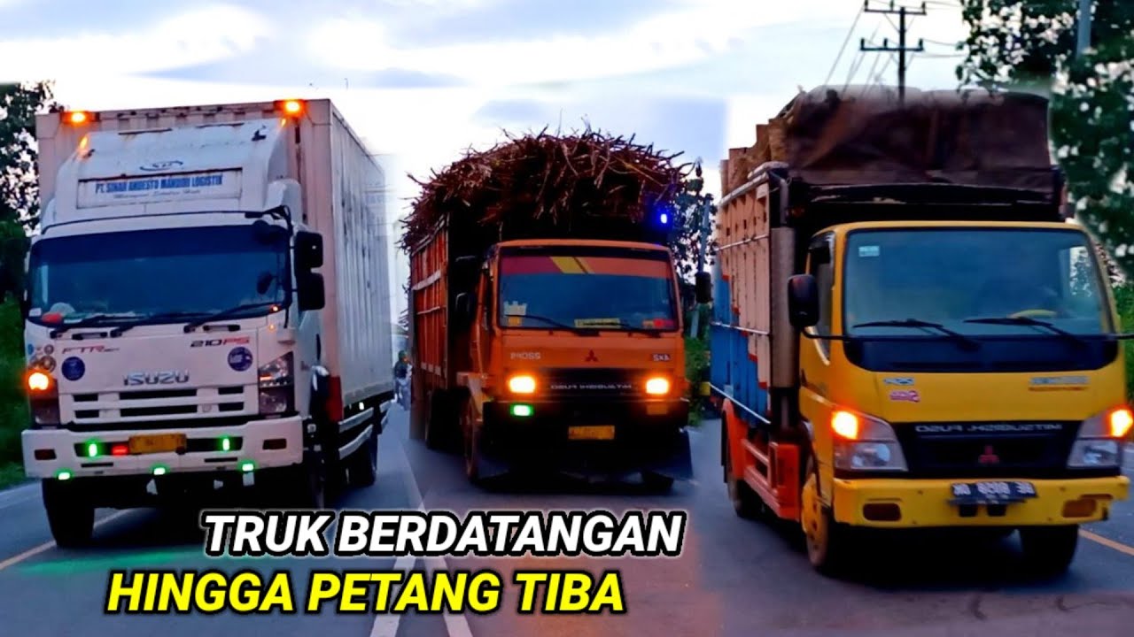 MOBIL TRUK BESAR TRUK CANTER BERDATANGAN MENJELANG SORE DI TANJAKAN ...
