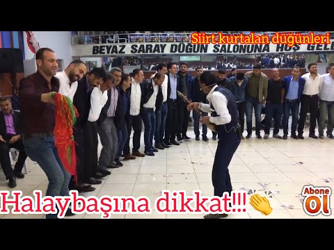 Halay başına dikkat omuzlar ayrı oynuyor (kemençe)