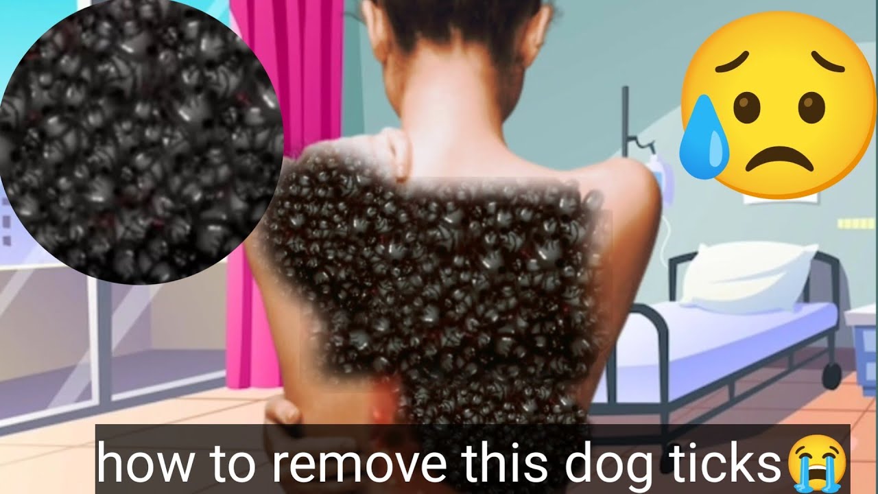 ASMR :- How to remove this dog ticks 😥😭 #asmr #asmrvideo #viral - YouTube