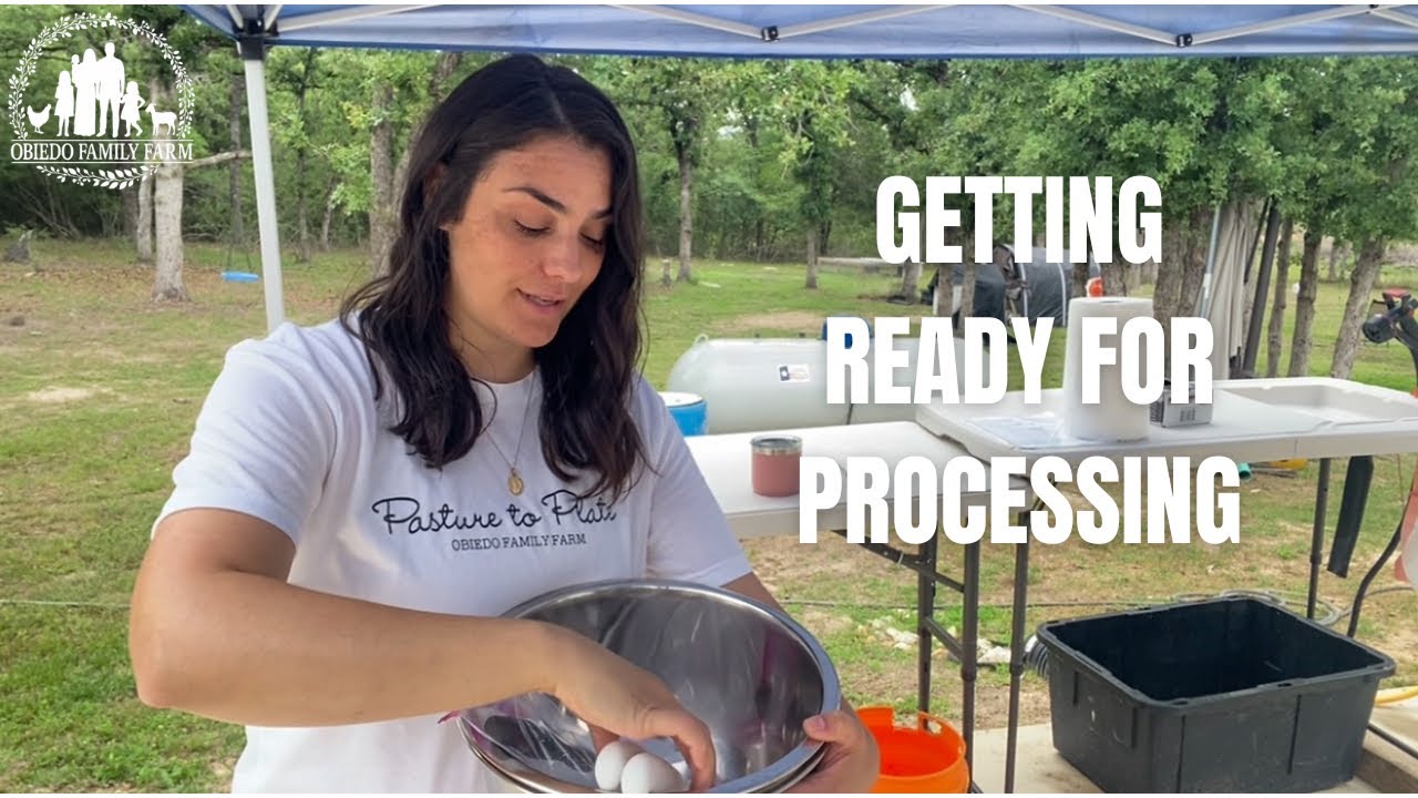 Meat Chicken Processing Day Prep - YouTube