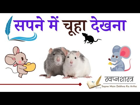 Sapne Me Chuha Dekhna / Dream about Rat / Mouse in Dream / सपने में ...