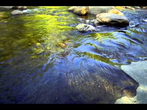 8 Pullankulal Kotutha - YouTube