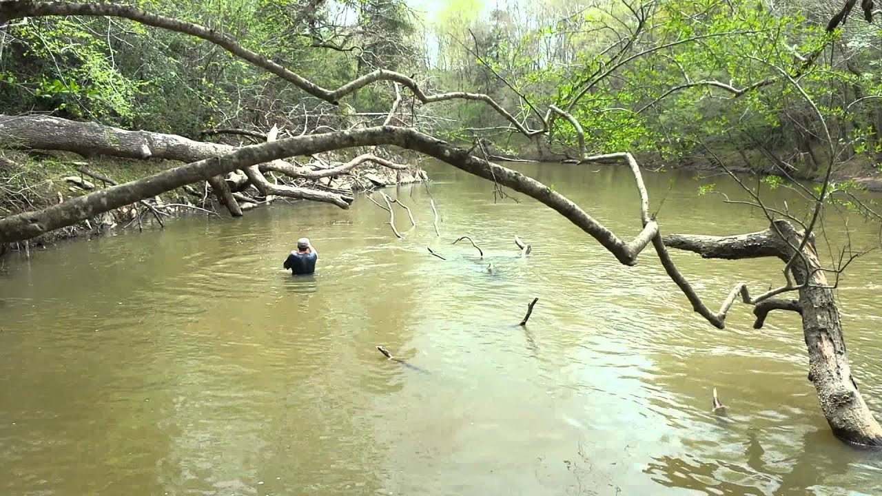 Survival Vlog #6 - YouTube