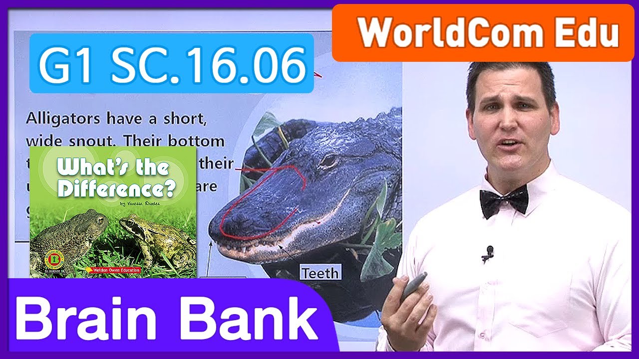Learn English | Brain Bank Grade 1 Science | 16 What’s the Difference ...