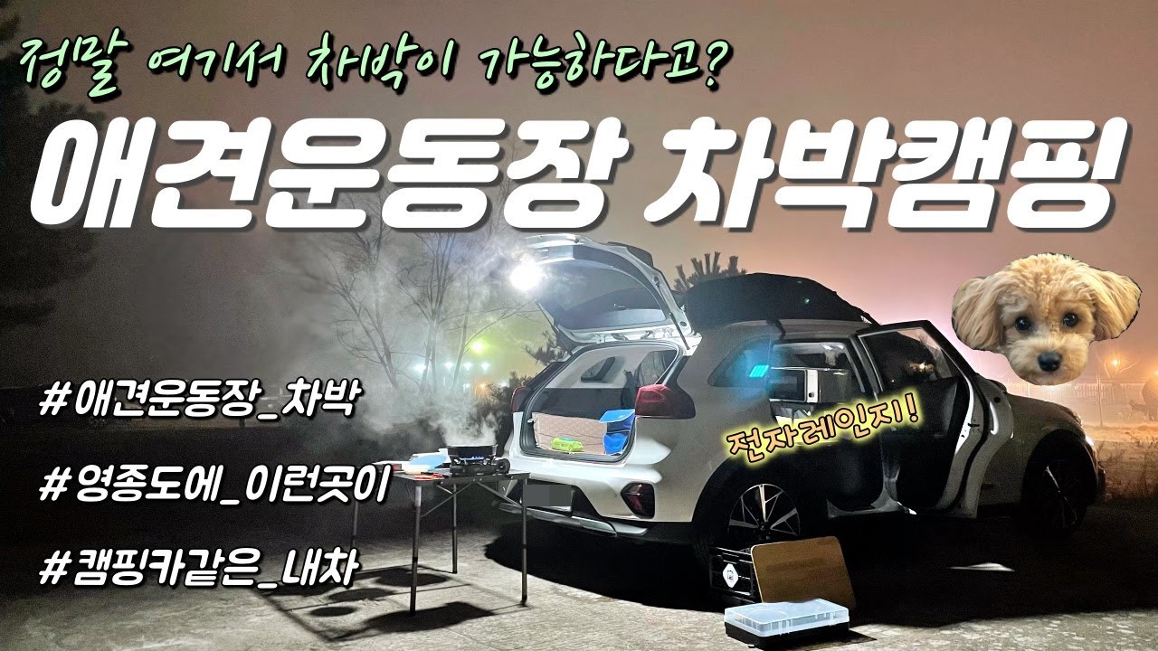 애견운동장에서 차박캠핑 가능 실화 꿈의 애견운동장 해리파크 차박 니로 차박 차박하기 좋은차 차박캠핑 애견