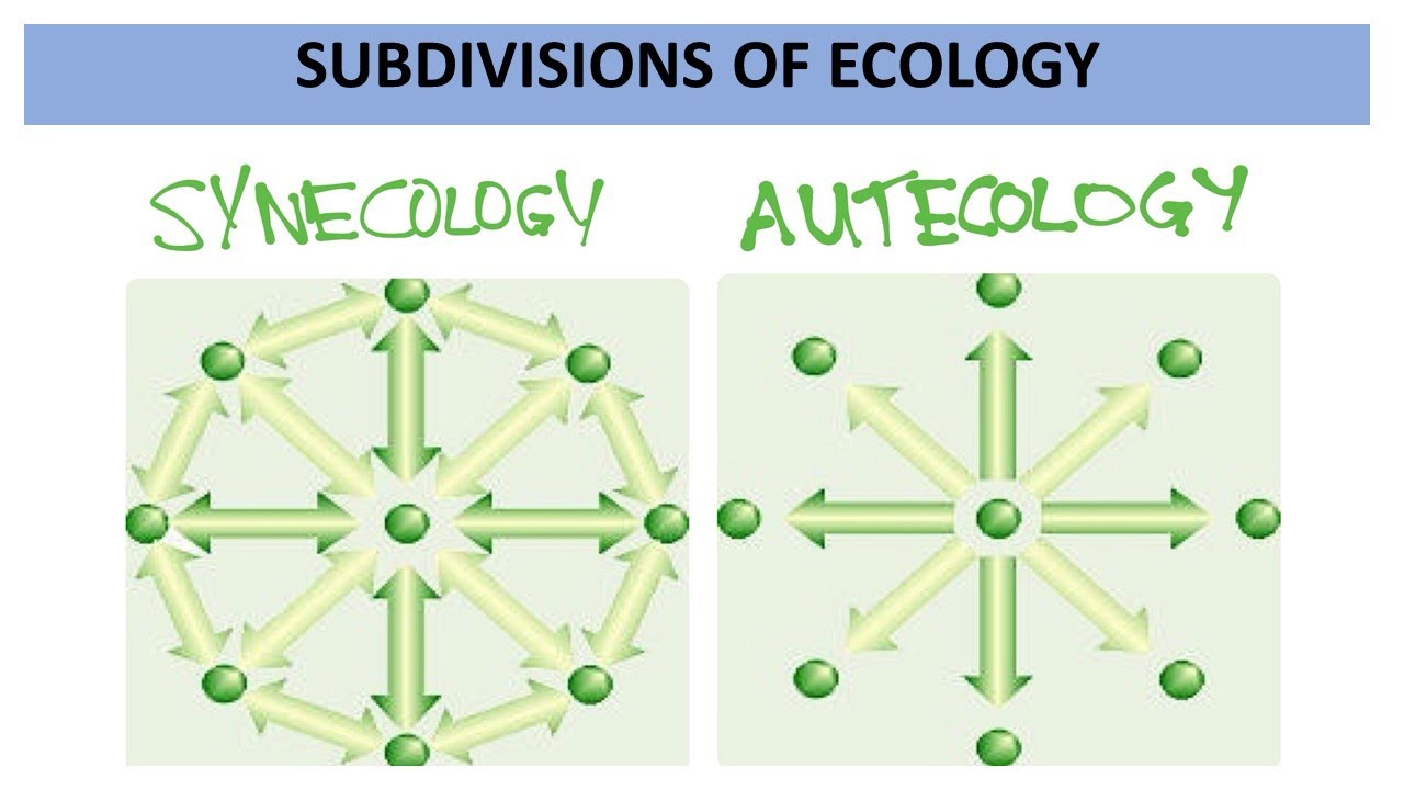 What is Autecology and Synecology? - YouTube