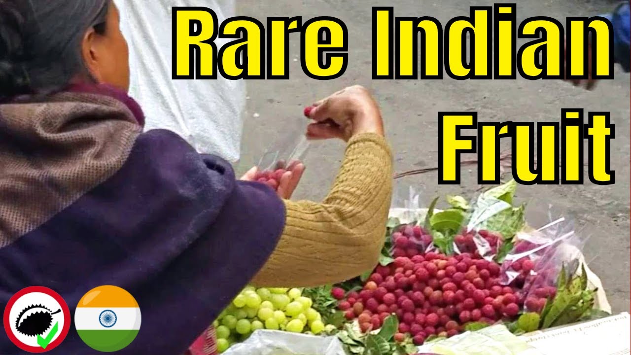 Kaphal Fruit Review (Myrica esculenta) - Weird Fruit Explorer in India ...