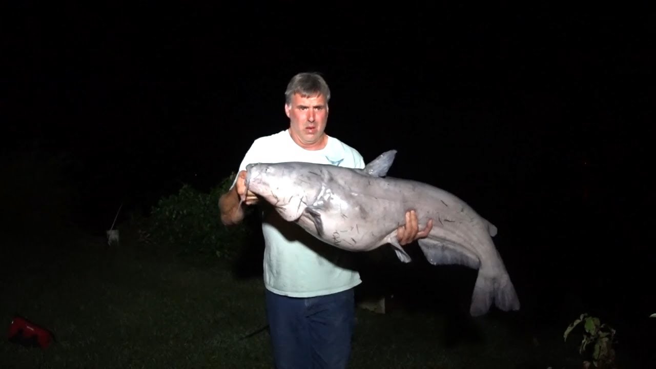 Little Bite Big Fish - YouTube