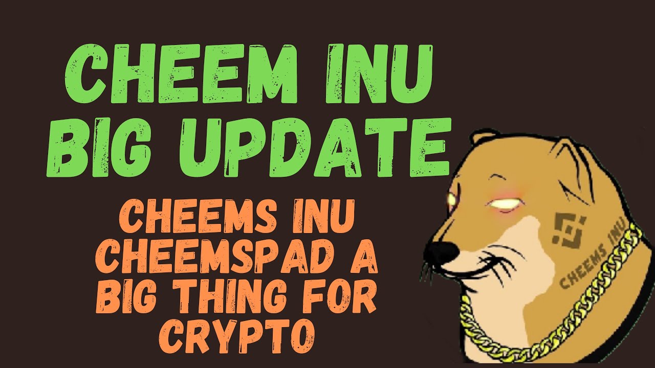 CHEEMS INU CHEEMSPAD | CHEEMS INU NEWS TODAY | CHEEMS BIG UPDATE - YouTube