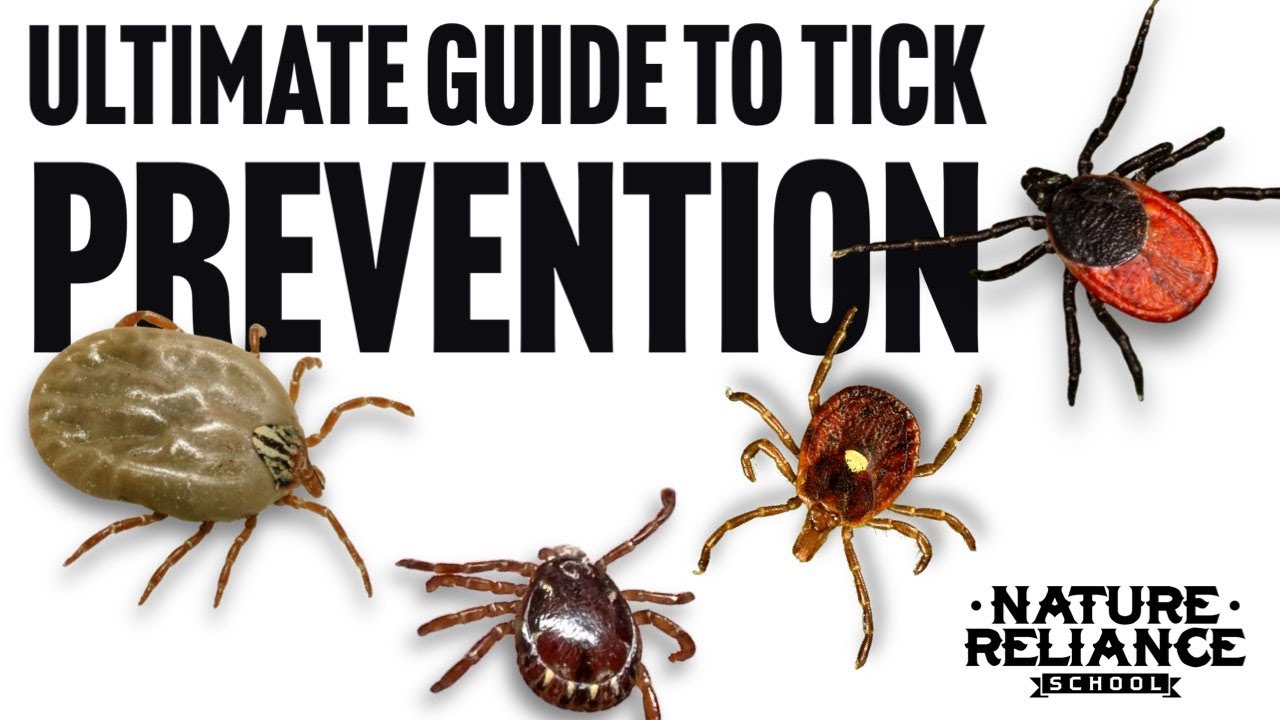 Ultimate Guide to Tick Prevention: Tips and Expert Advice - YouTube