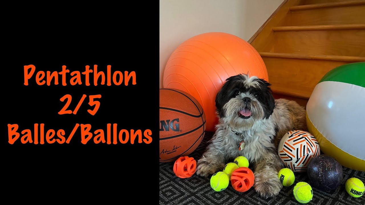 Pentathlon 2/5 : Balles/Ballons - YouTube