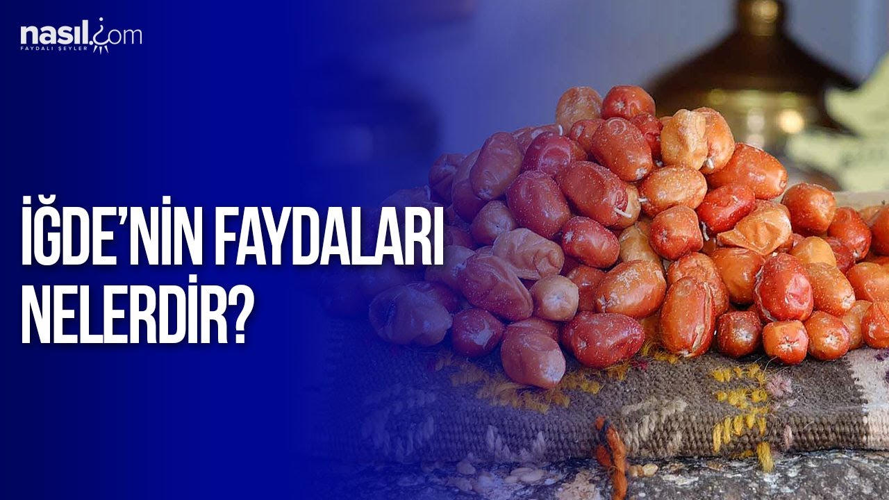 İğde Faydaları | Sağlık | Nasil.com - YouTube