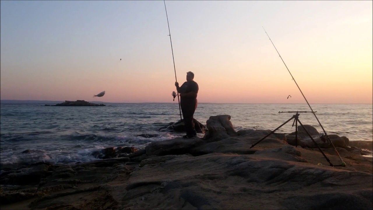 ψαρεμα τσιπουρας 30 6 2018 στην ακτη καλογριας - YouTube