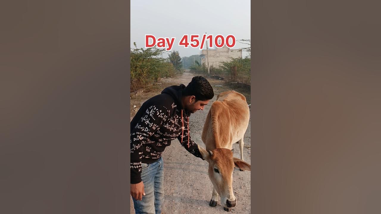 Day 45/100 Challenge #viral #shorts #youtube #day45 #sanatanichallenge #sanatanisiddhanttripathi ...