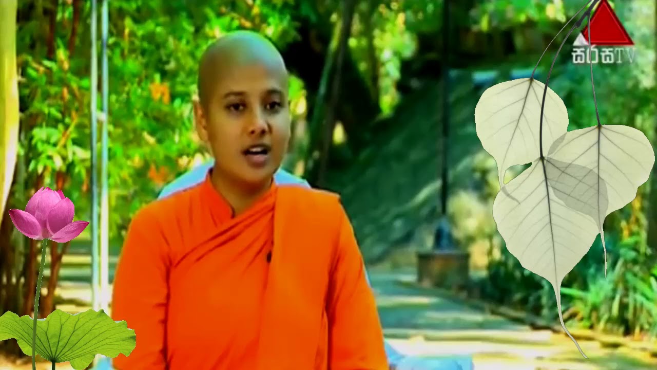 Therani Bana- තෙරණියන් විසින් පවත්වන ධර්ම දේශණය - YouTube