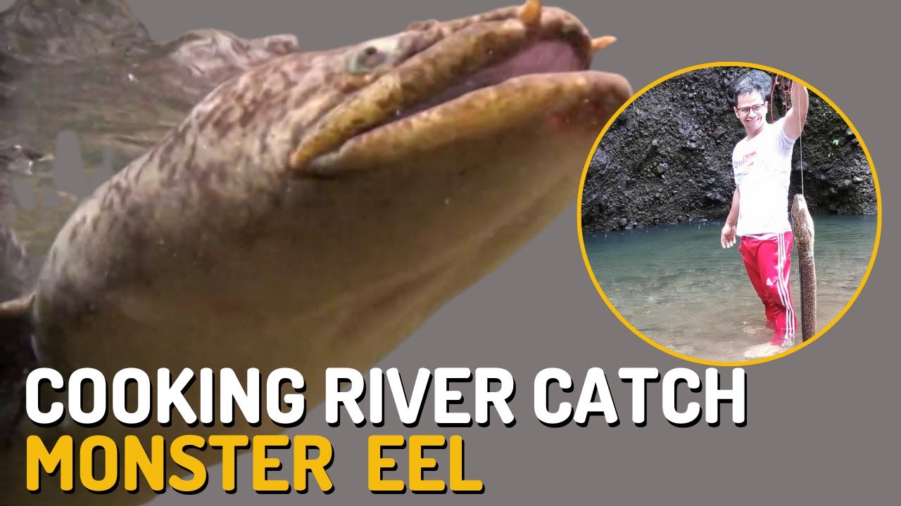 COOKING RIVER CATCH MONSTER EEL | Palos Curry | Chef Couple - YouTube